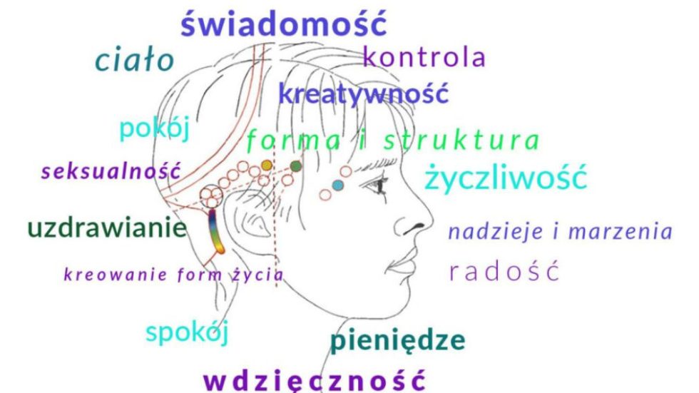 Metoda ACCESS BARS® - Świadomy Rozwój